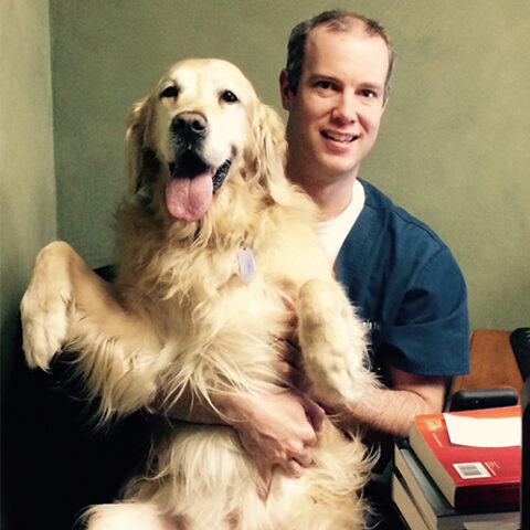 Veterinarian In Seaview, WA 98644 | Oceanside Veterinary Hospital